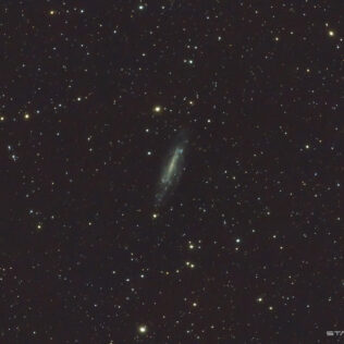 NGC 4236 Galaxy – star-watcher.ch – DSLR Astrophotography